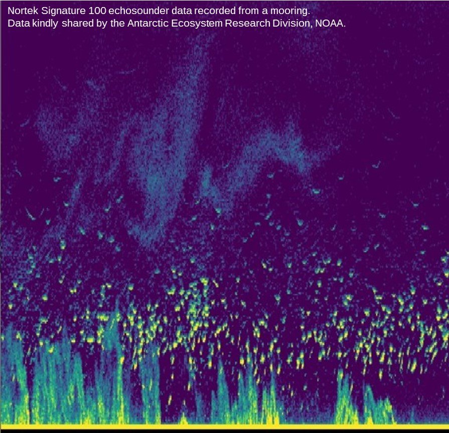 Echoview | Process Your Data Quickly and Easily | Echoview