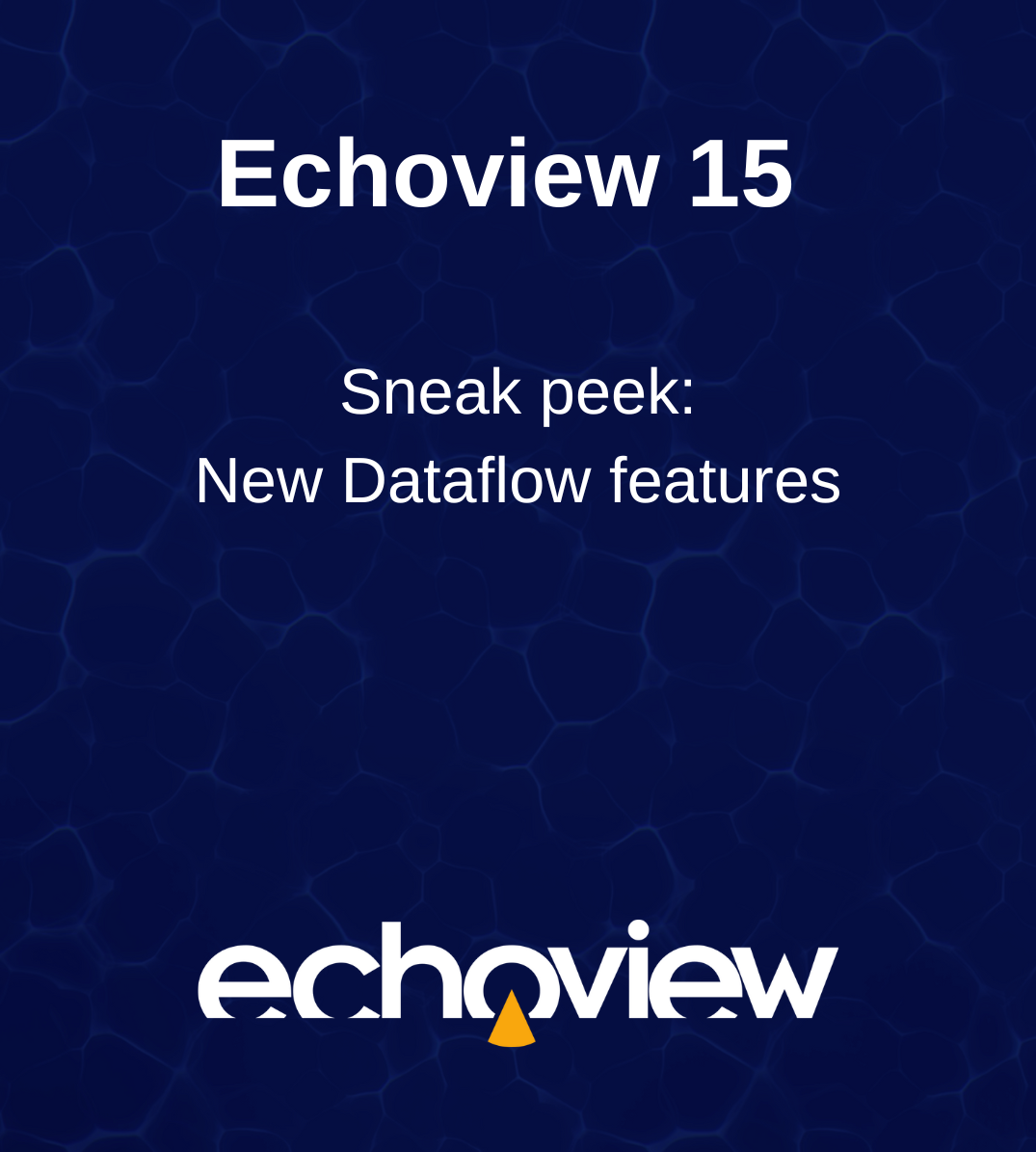 Echoview 15: sneak peek | Echoview