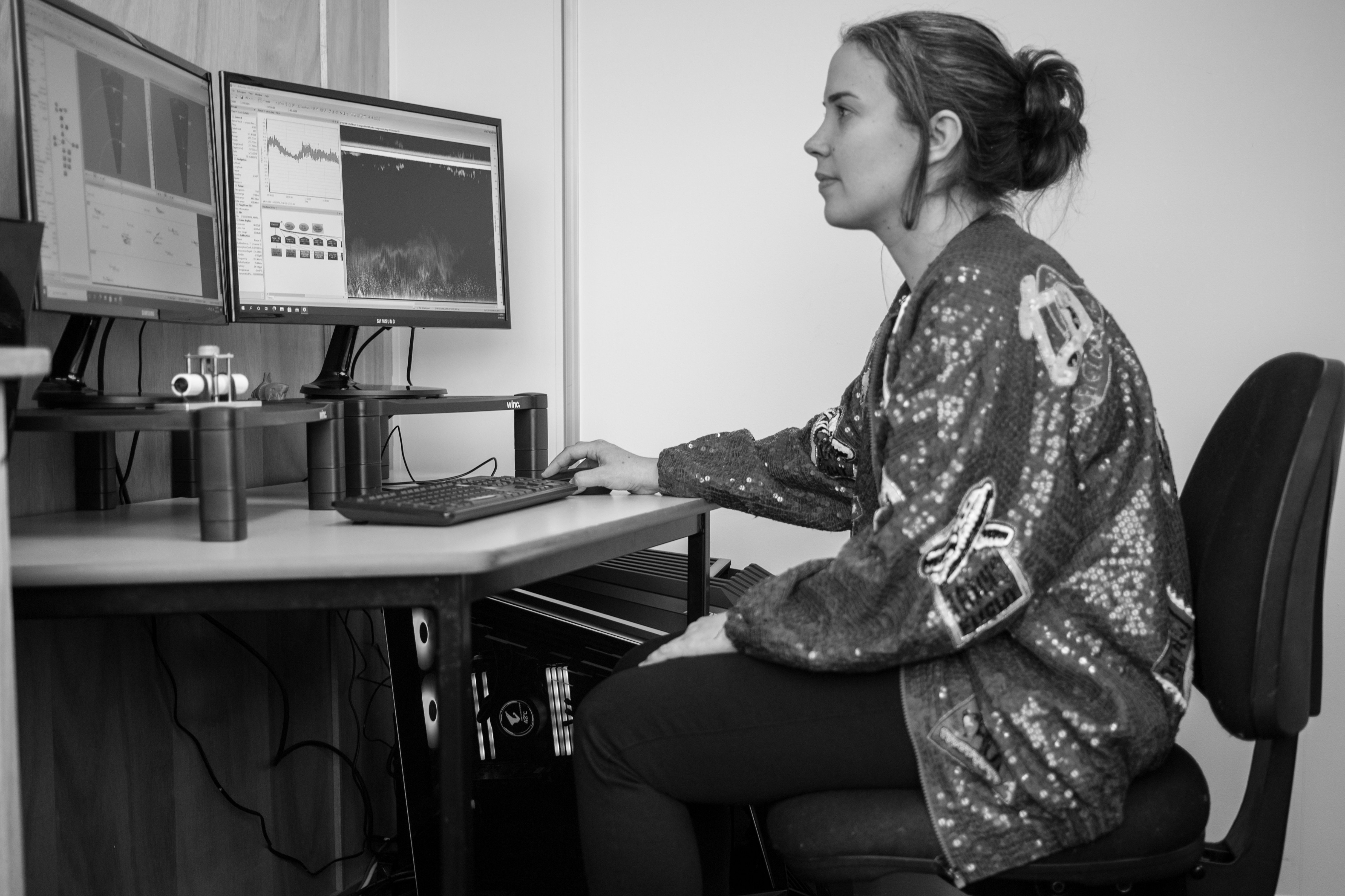 Maintenance and Technical Support | Echoview | Echoview