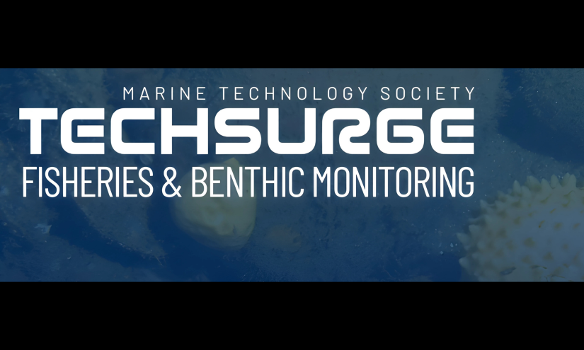 TechSurge | Echoview
